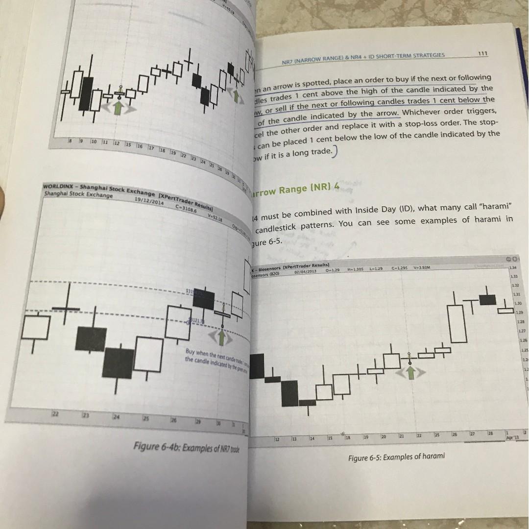The Systematic Trader: How I turned a $250,000 debt into profits ...