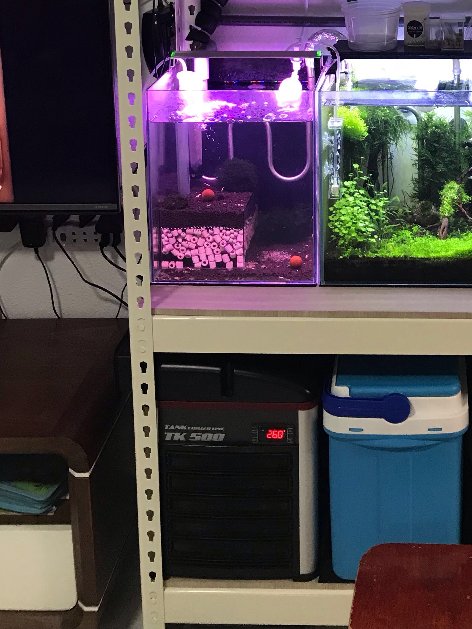 Teco Chiller TK500, Pet Supplies, Homes & Other Pet Accessories on ...