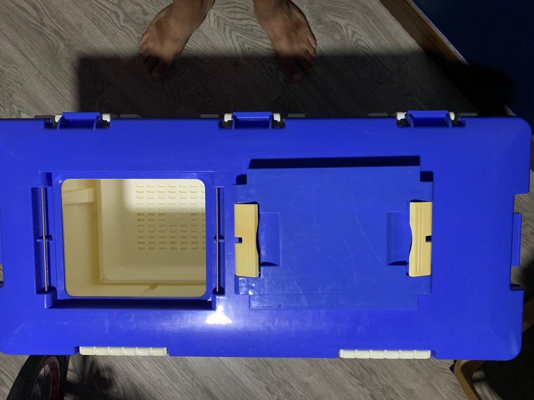 Colorado Cooler box 52L, Everything Else on Carousell