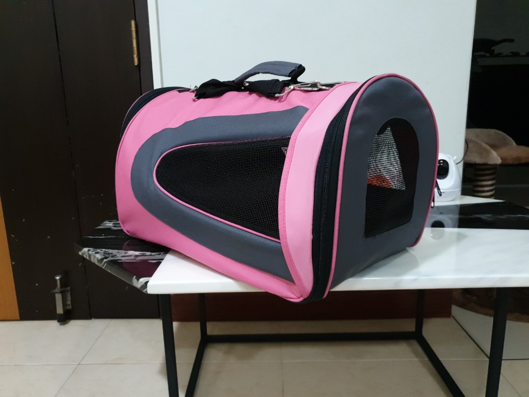 Pet Carrier (PINK), Pet Supplies, Homes & Other Pet Accessories on ...