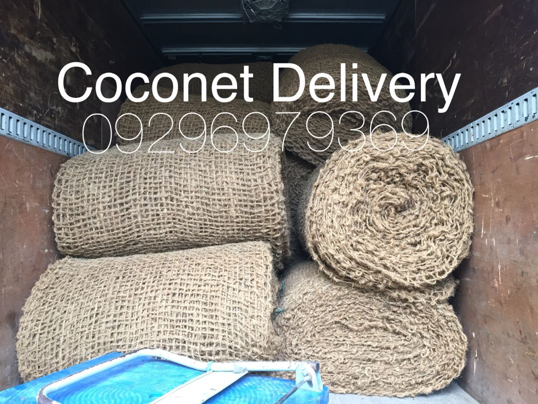 Coconet supply, Everything Else, Others on Carousell