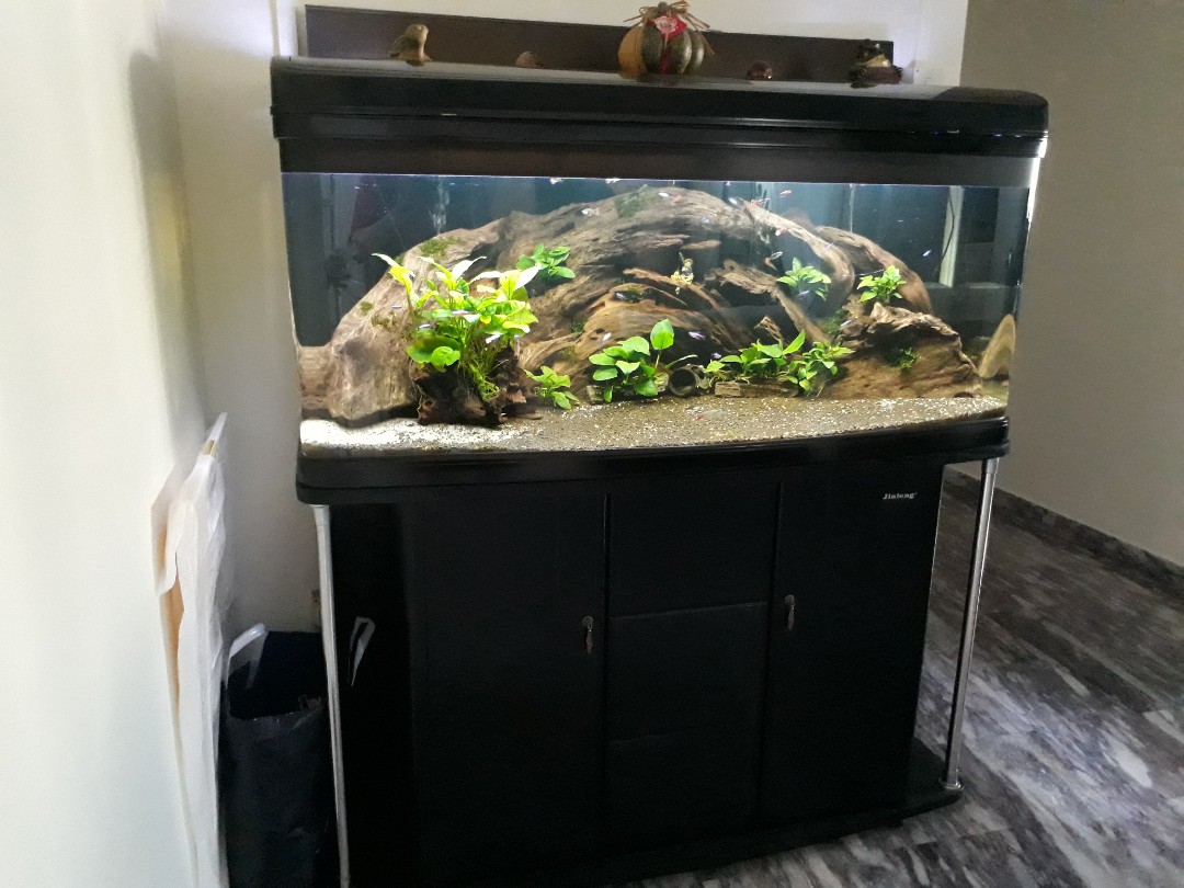 Fish Tank Curve Set, Pet Supplies, Homes & Other Pet Accessories on ...