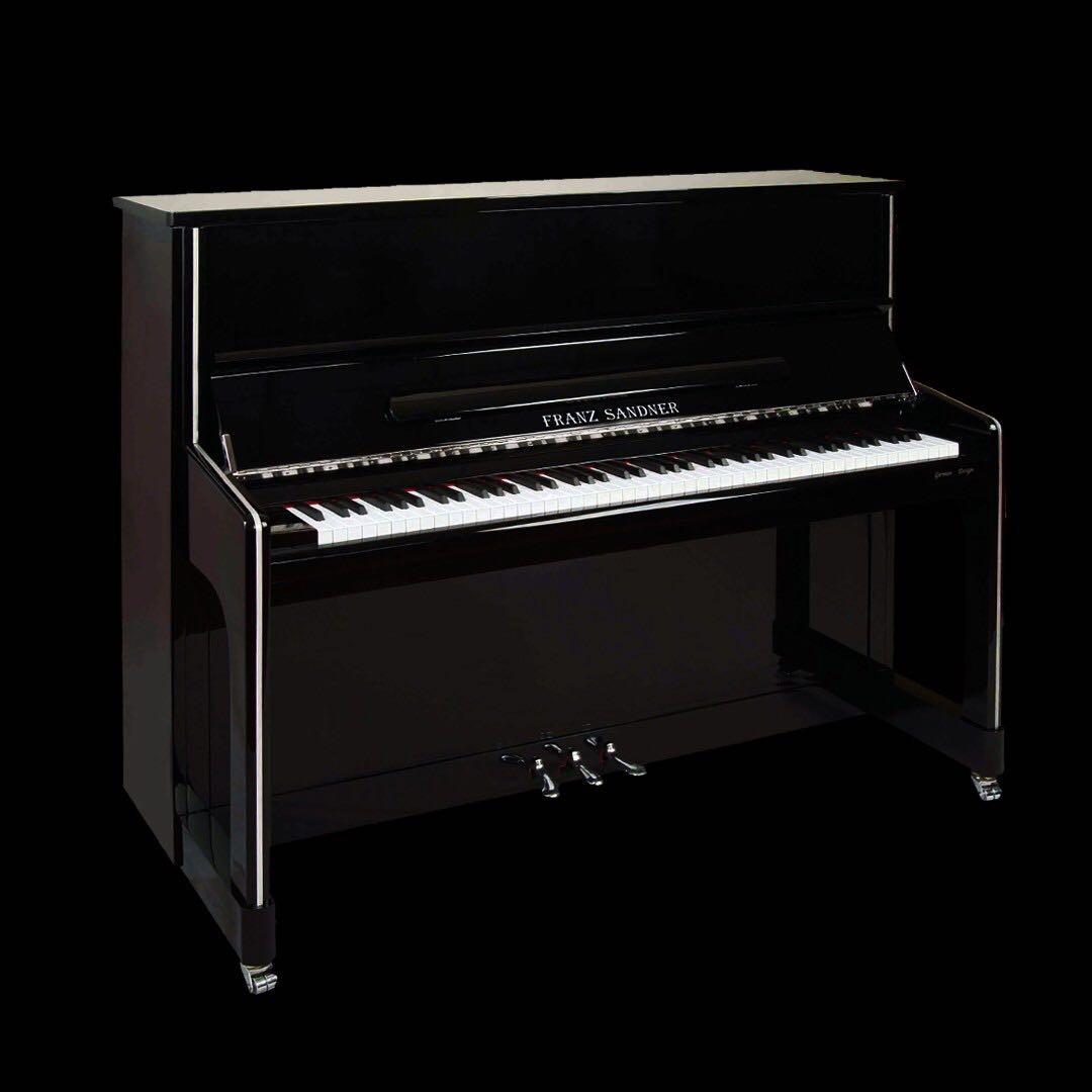 FRANZ SANDNER SP210A -GERMANY SINCE 1924, Hobbies & Toys, Music & Media ...