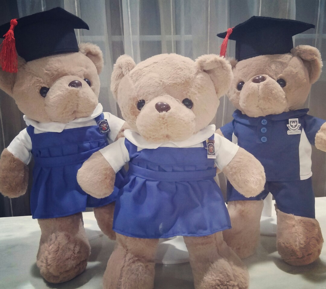 Customised CHIJ Graduation Bear (34cm Bear), Hobbies & Toys, Toys ...