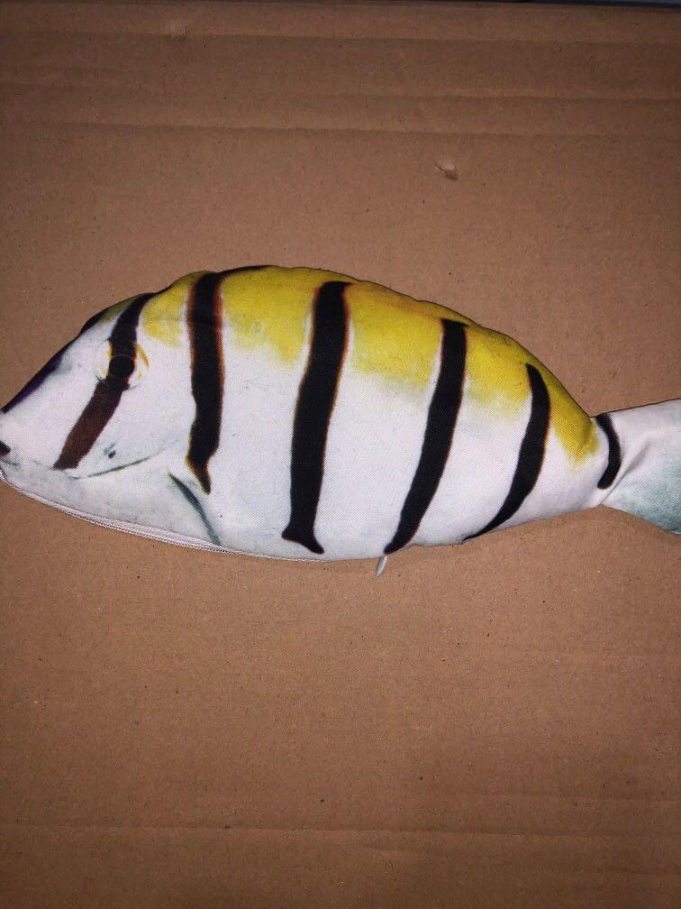 Fish Pencil Case, Hobbies & Toys, Stationery & Craft, Stationery ...