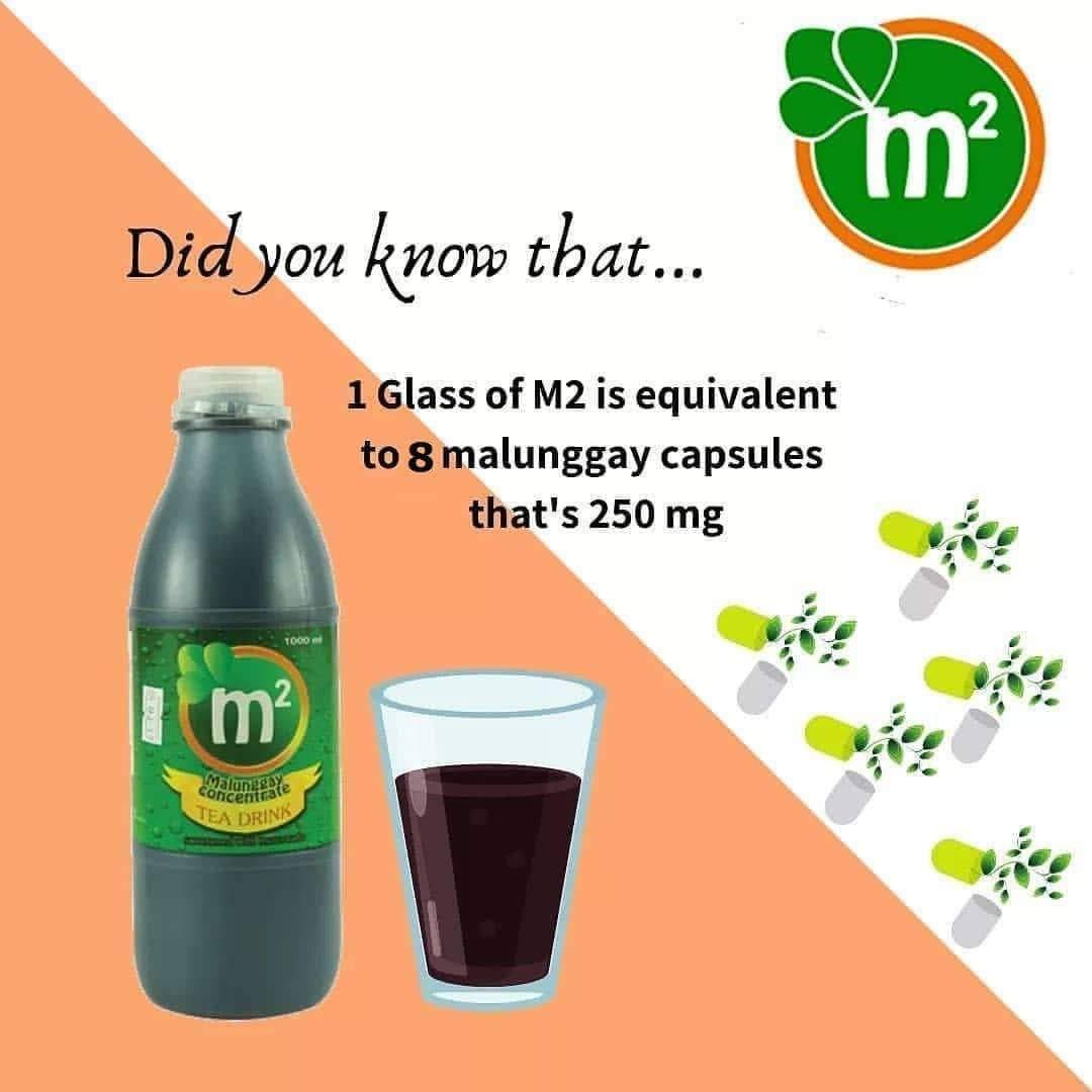 M2 Malunggay Concentrated Tea with Okra and Ginger 1 Ltr, Everything ...