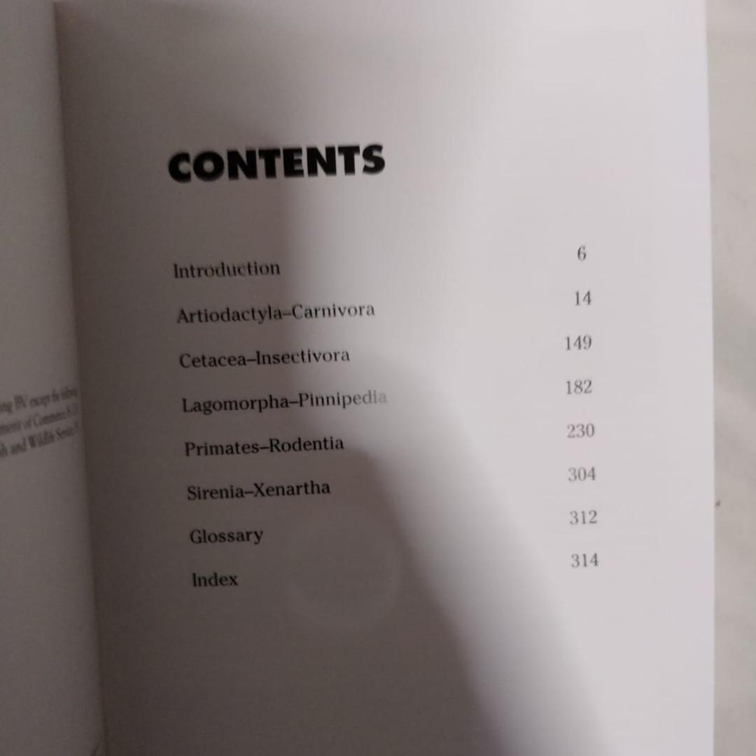 Mammals - 300 Amazing Animals, Hobbies & Toys, Books & Magazines ...