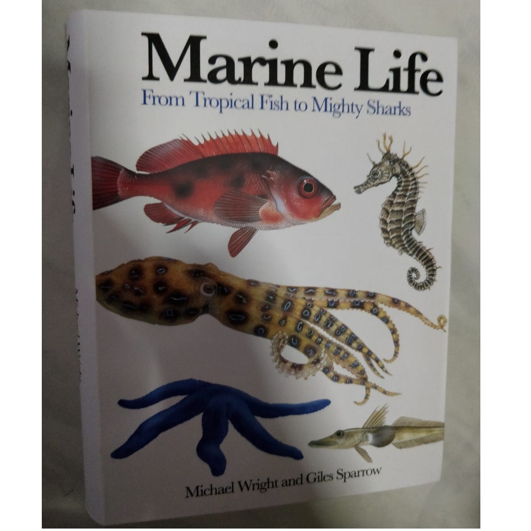 Marine Life - From Tropical Fish to Mighty Sharks, Hobbies & Toys ...