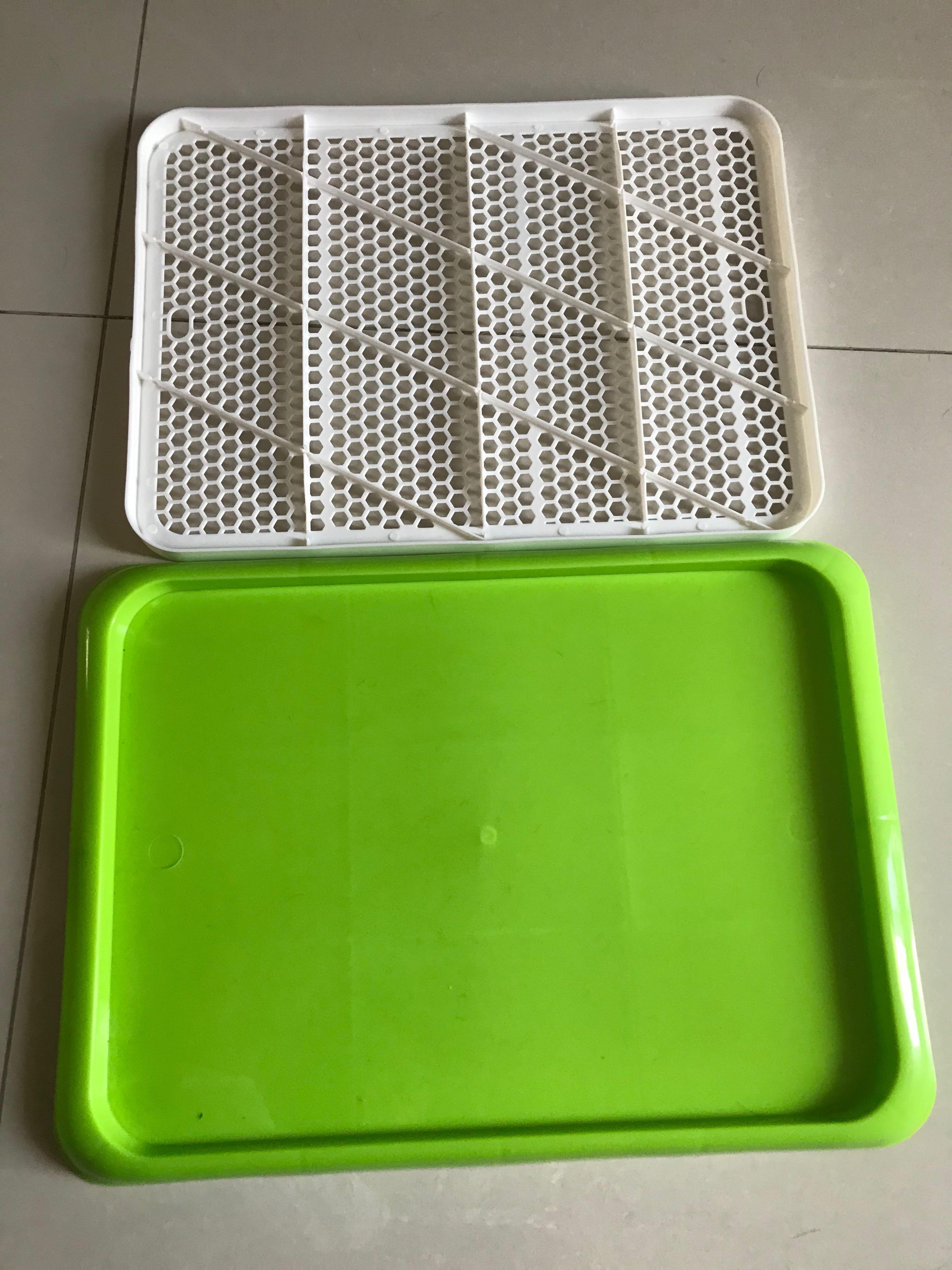 Pee Tray, Pet Supplies, Homes & Other Pet Accessories on Carousell