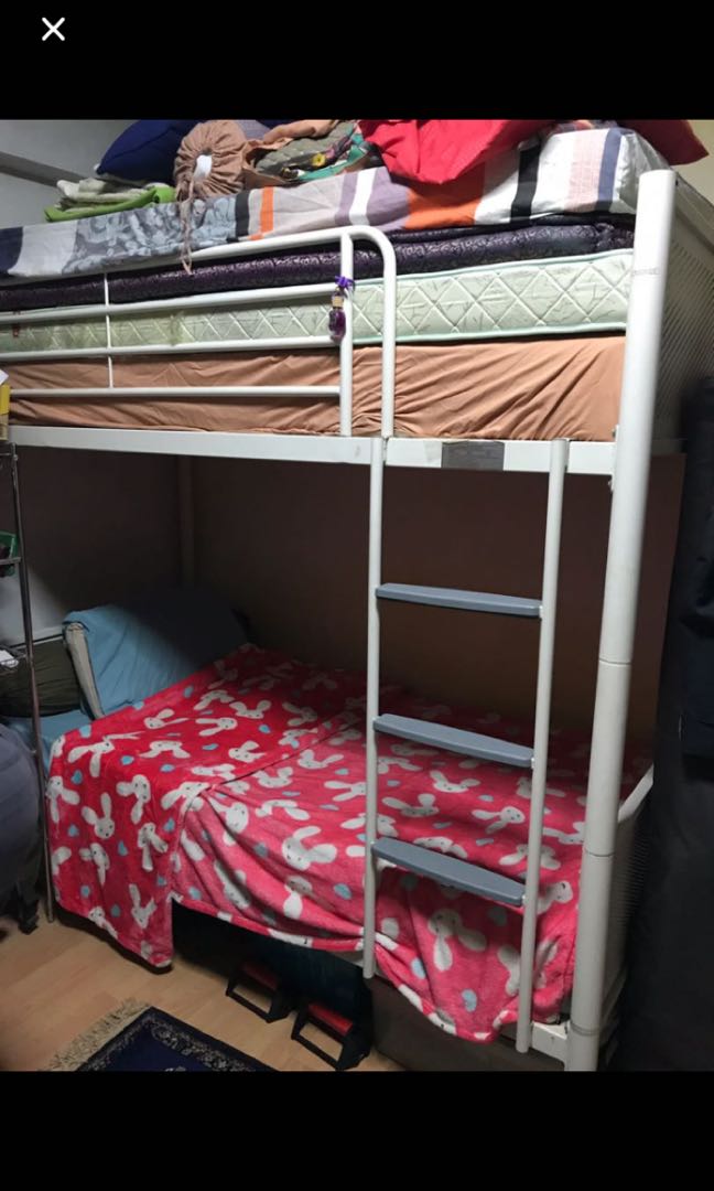 White Double Decker Bed, Furniture & Home Living, Furniture, Bed Frames ...
