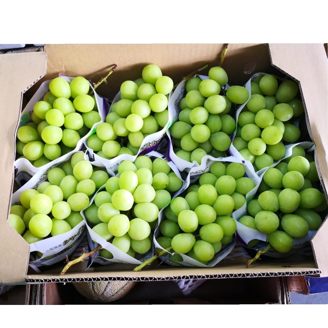 JAPANESE SHINE MUSCAT GRAPES, Food & Drinks, Chilled & Frozen Food on ...