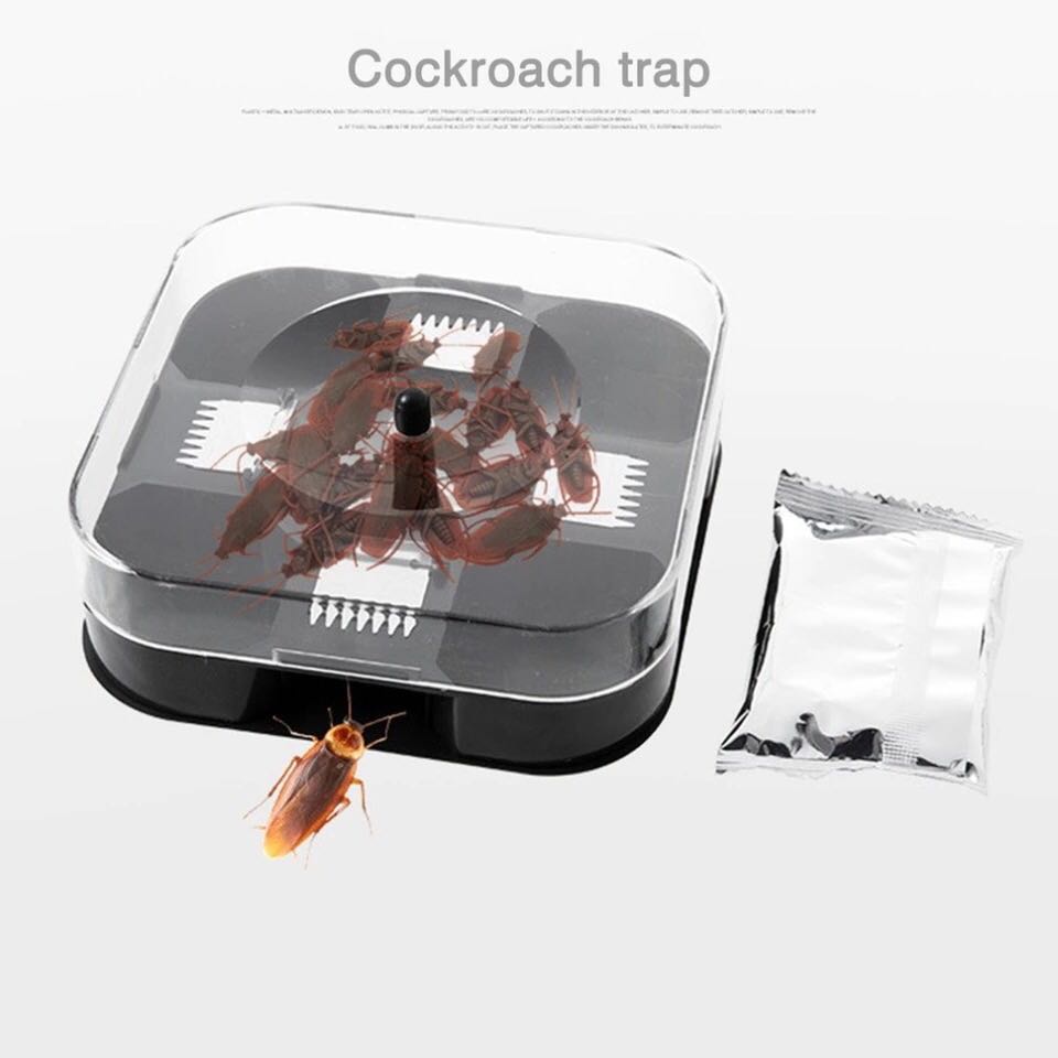Cockroaches cockroach catcher trap, Furniture & Home Living, Bathroom ...
