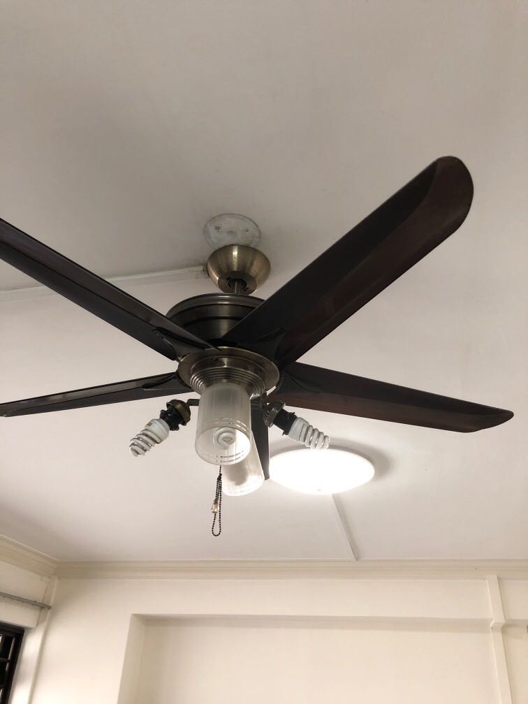 Ceiling Fan alpha brand urgent selling as moving overseas., Furniture ...