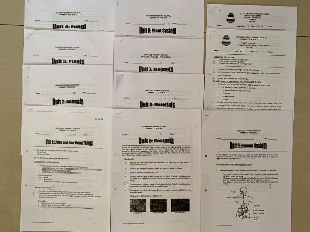 P3 / P4 Science notes, Hobbies & Toys, Books & Magazines, Assessment ...