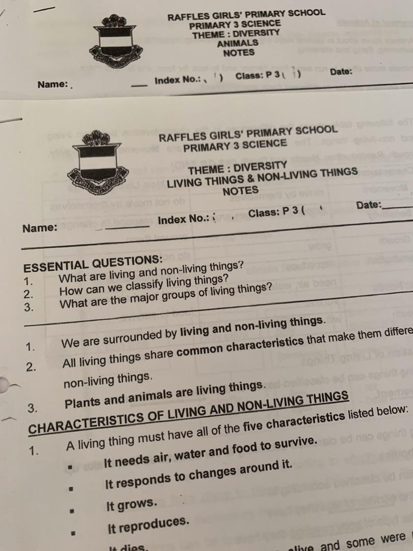 P3 / P4 Science notes, Hobbies & Toys, Books & Magazines, Assessment ...