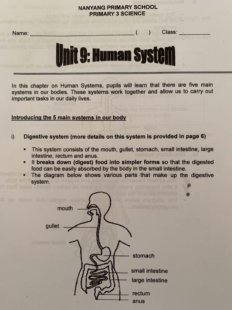 P3 / P4 Science notes, Hobbies & Toys, Books & Magazines, Assessment ...