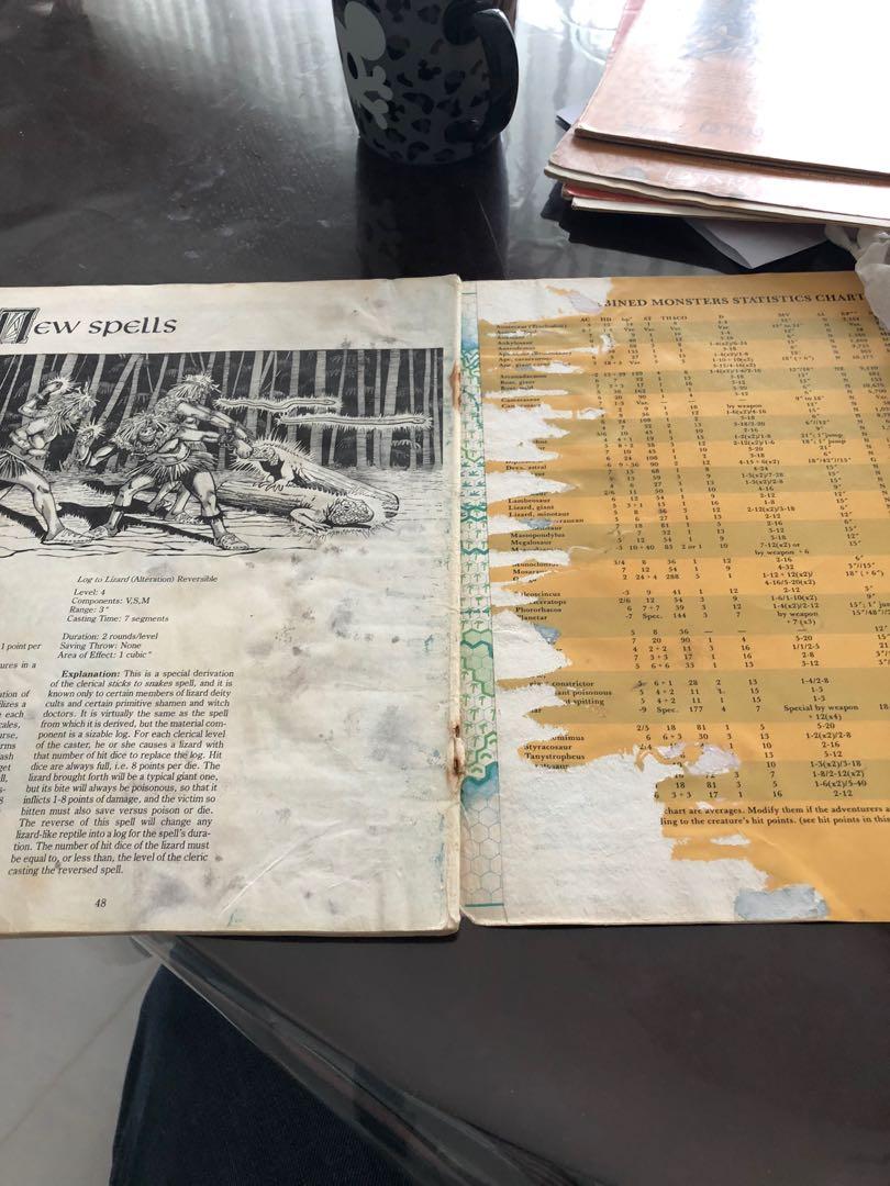 Dungeons & Dragons 1E greyhawk Isle of the Ape, Hobbies & Toys, Toys ...