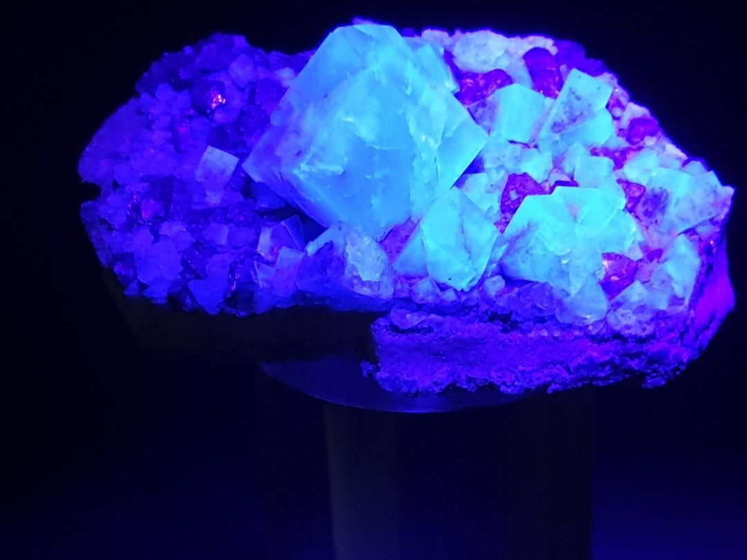 Fluorite Specimen UV reactive Home & Living Home Décor etna.com.pe