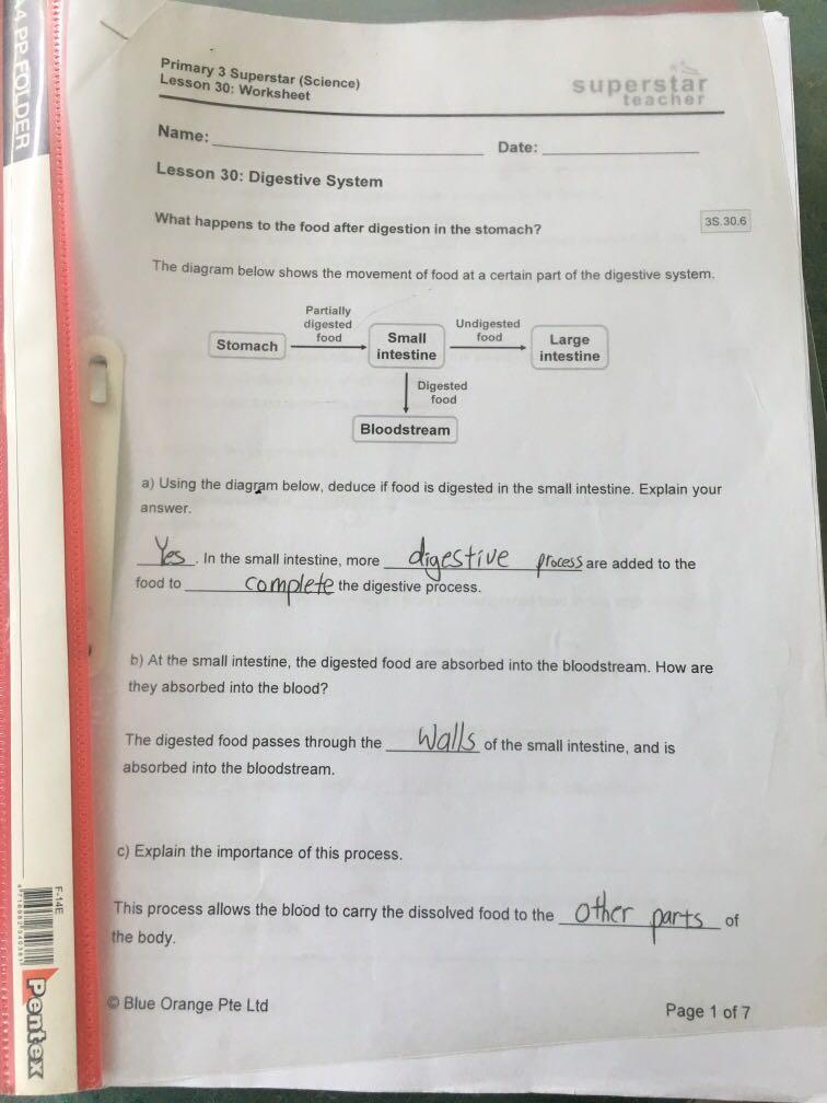 Superstar (Science) Worksheet P3 - lesson 1-40, Hobbies & Toys, Books ...