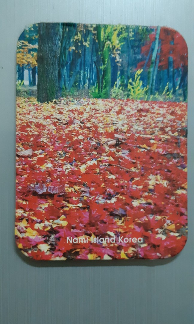 Tempelan Magnet Korea Nami Island, Desain & Kerajinan Tangan, Barang ...