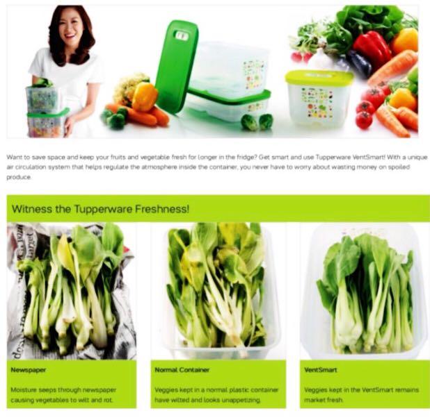 Tupperware VentSmart, Furniture & Home Living, Kitchenware & Tableware ...