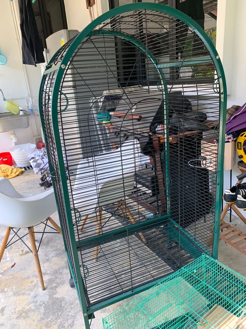 Bird Cage, Pet Supplies, Homes & Other Pet Accessories on Carousell