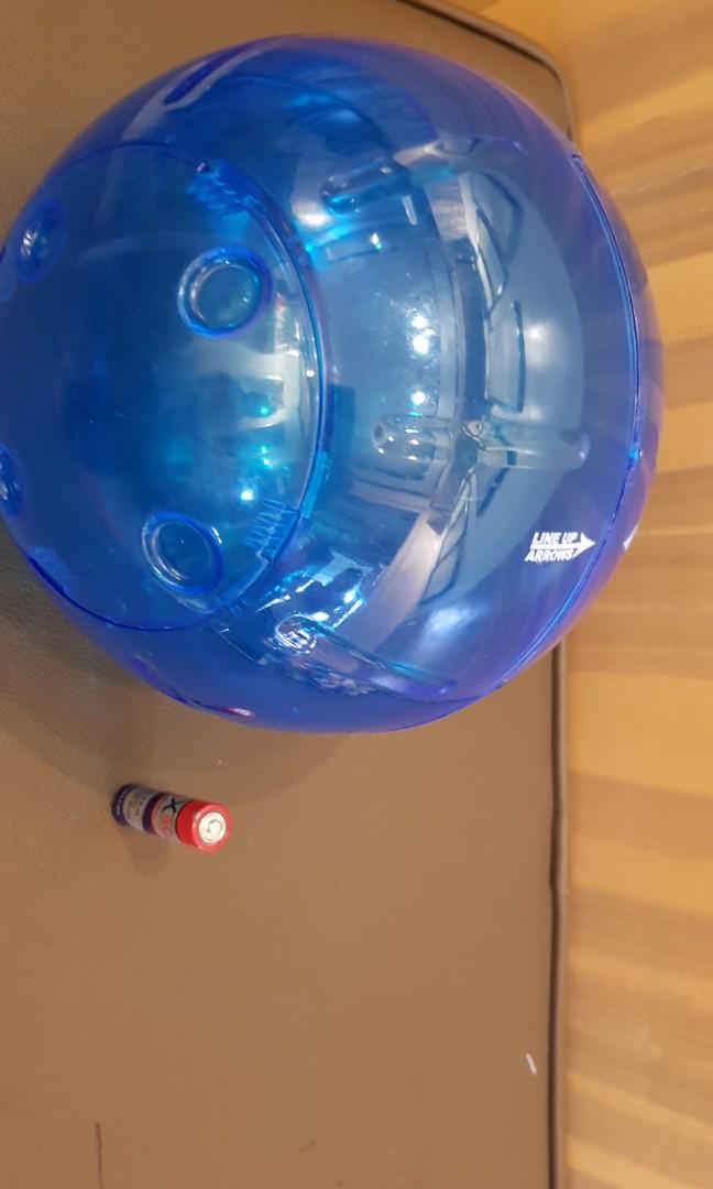 Guinea Pig Ball, Babies & Kids, Infant Playtime on Carousell