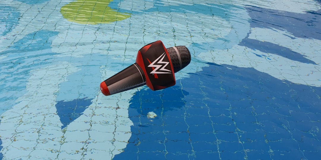 WWE AIRNORMOUS MICROPHONE INFLATABLE TOY, Hobbies & Toys, Toys & Games ...