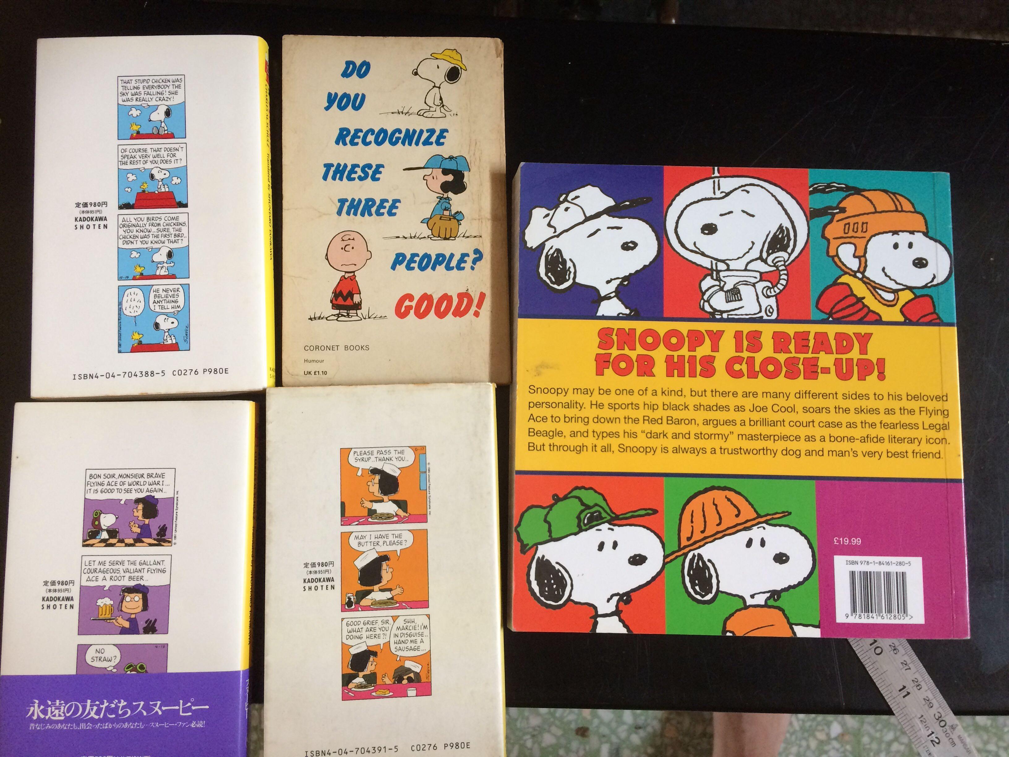 A Peanuts Book featuring Snoopy, Hobbies & Toys, Books & Magazines, Storybooks on Carousell