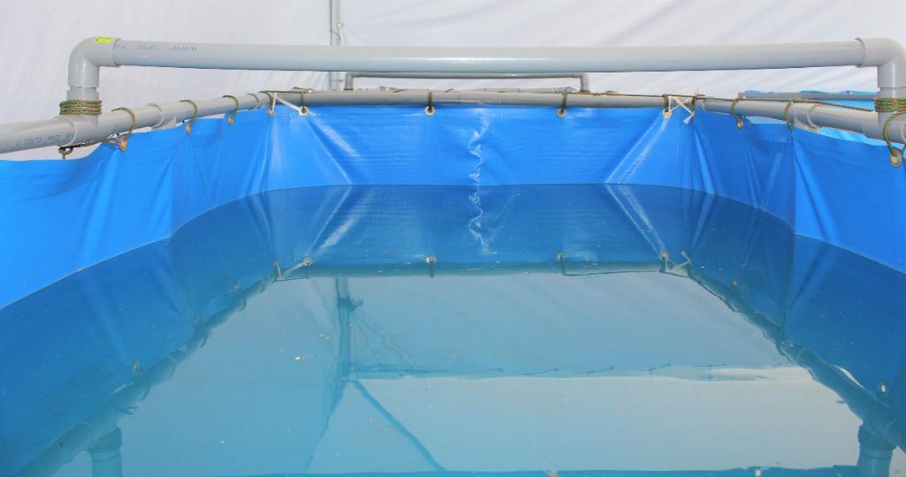 Fish Tank 20ft X 20ft X 5ft + 1 white belt Blue Canvas Only Without ...