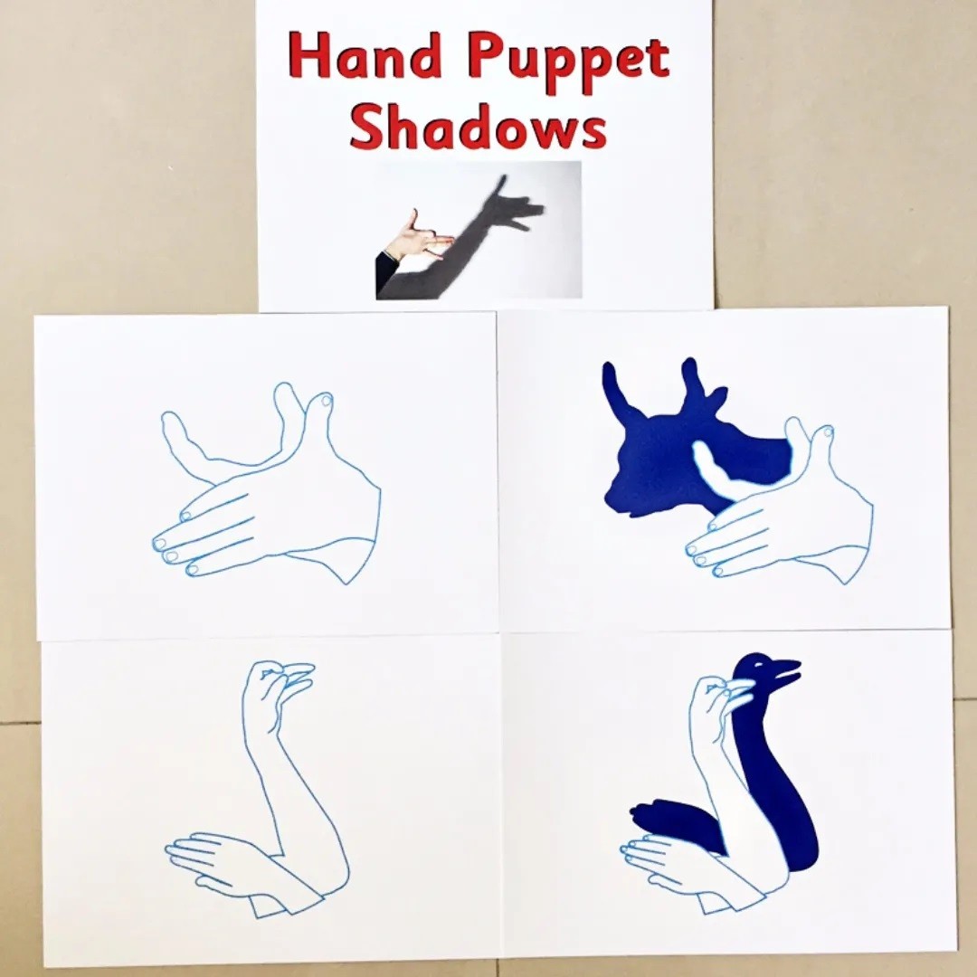 Hand Pupper Shadows Flashcards (Shichida, Heguru, Right brain training ...