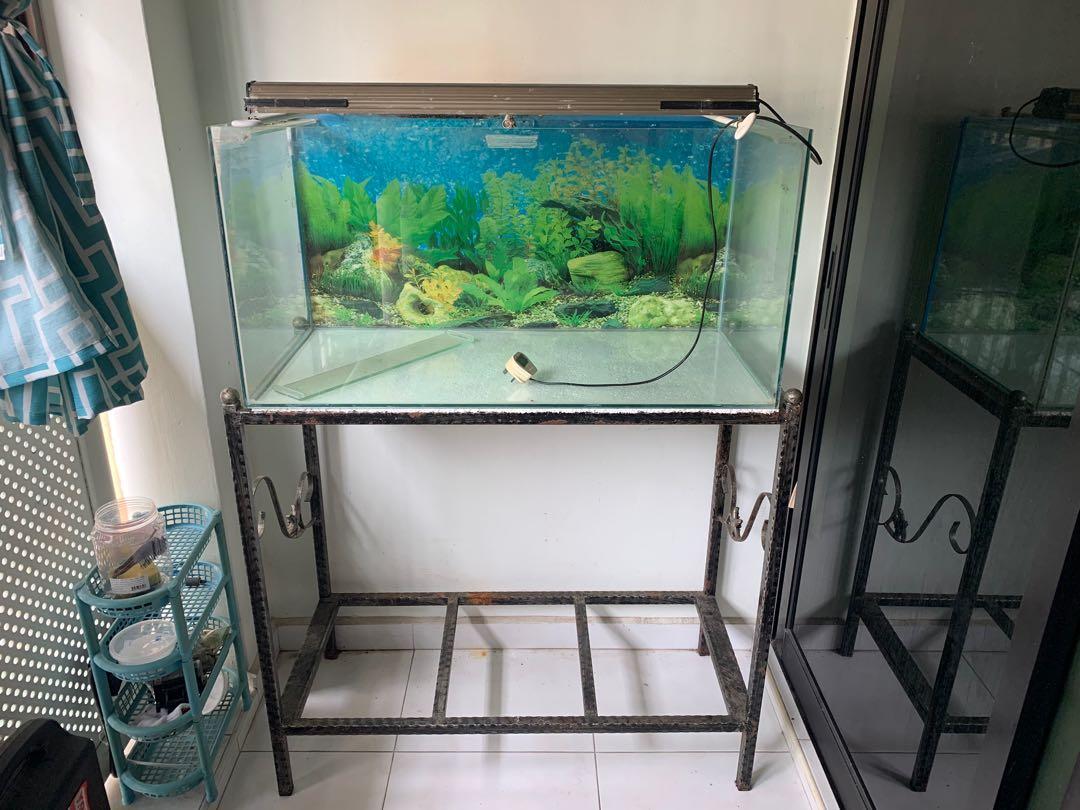 Fish aquarium tank 40 gallon with steel rack, Pet Supplies, Homes ...