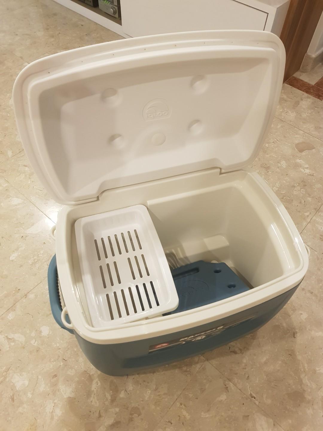 Igloo Max Cold Ultratherm insulation 50 Quart Roller Cooler, Blue/White ...