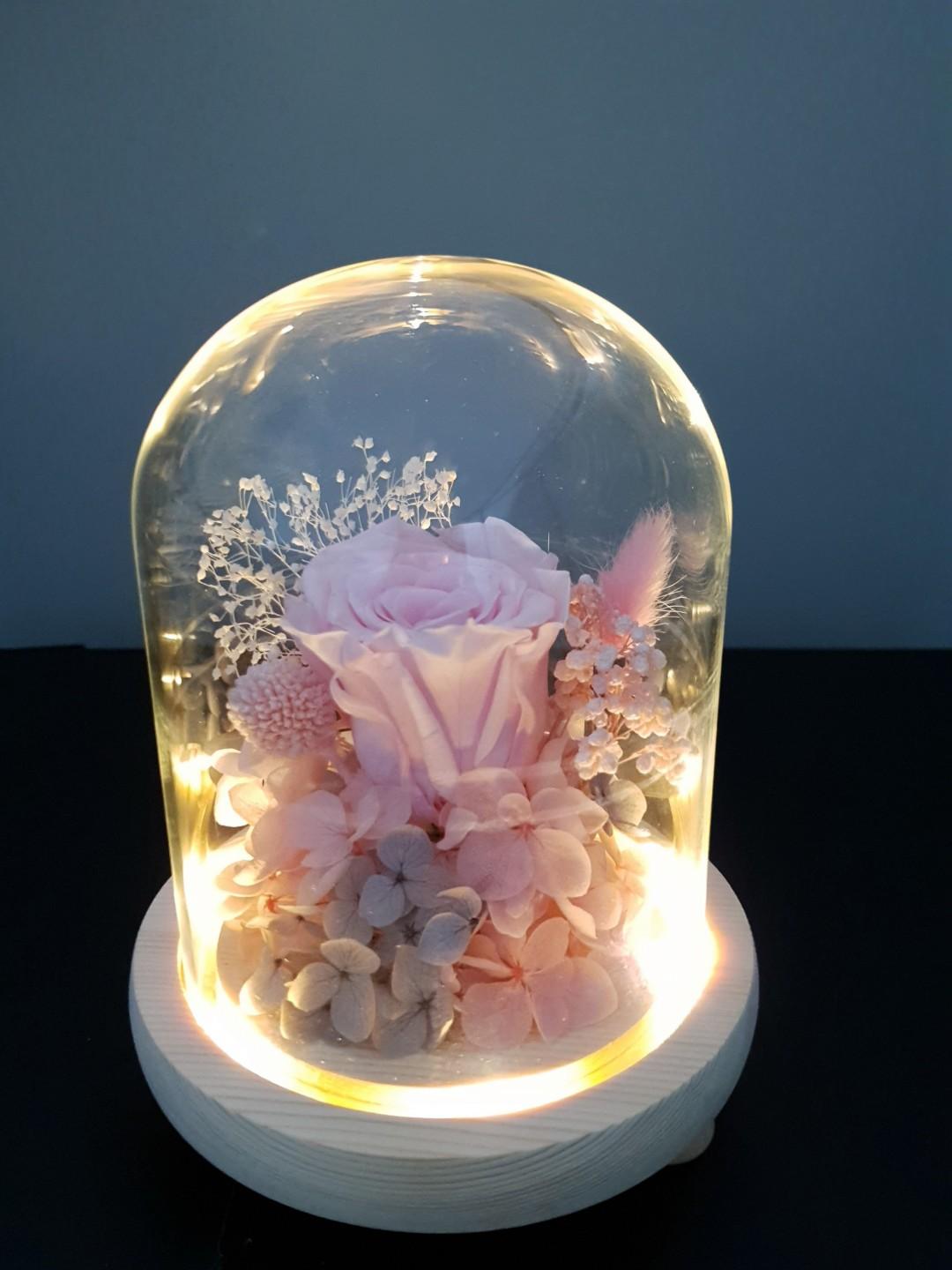Preserved Flowers In LED Bell Jar, Hobbies & Toys, Stationery & Craft ...