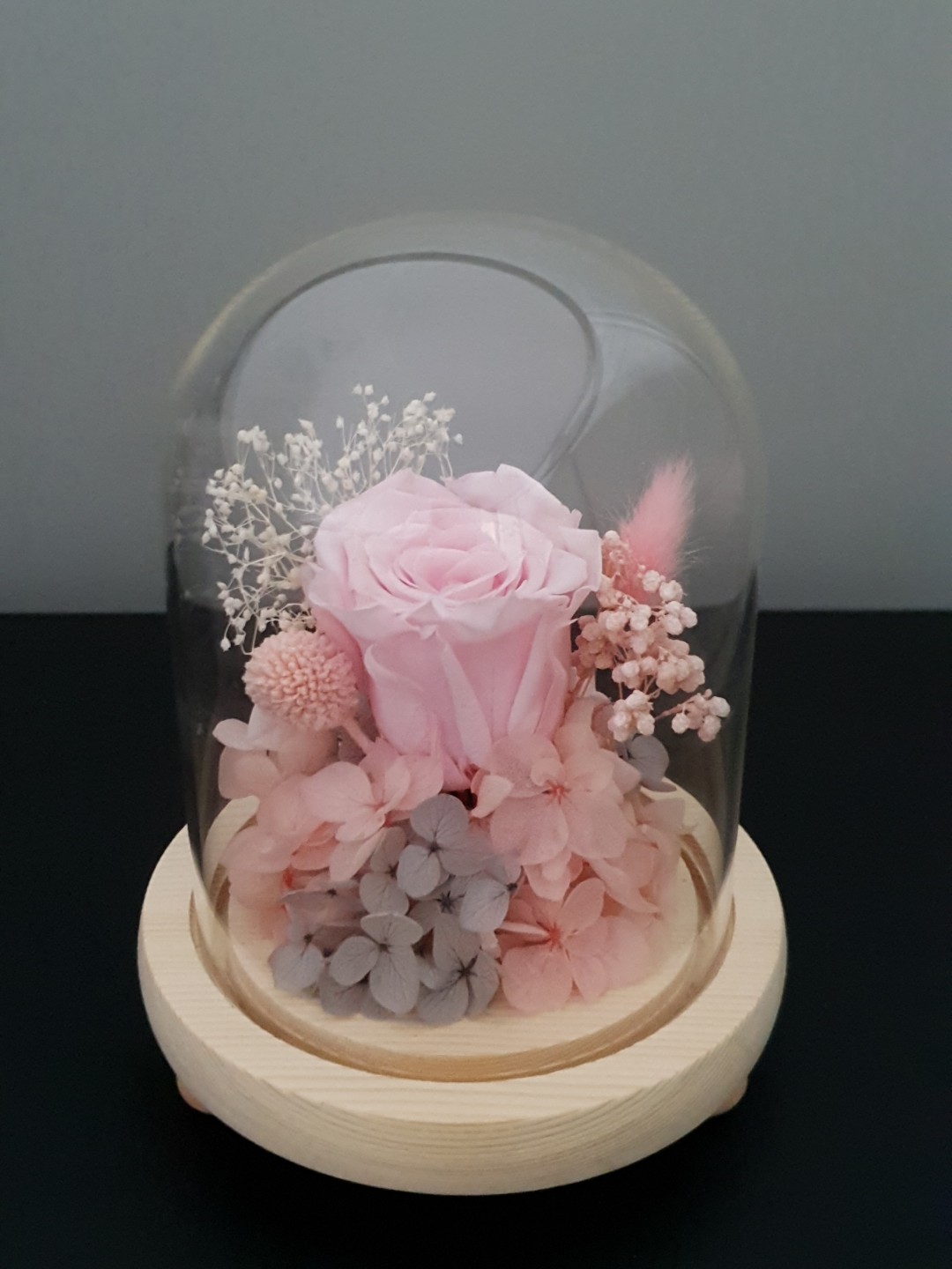 Preserved Flowers In LED Bell Jar, Hobbies & Toys, Stationery & Craft ...