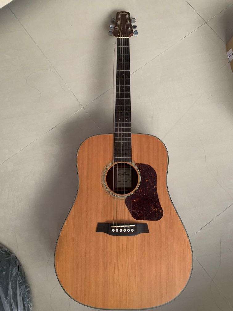 Walden D550 acoustic guitar, Hobbies & Toys, Musical Instruments on ...