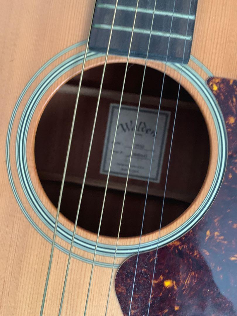 Walden D550 acoustic guitar, Hobbies & Toys, Musical Instruments on ...