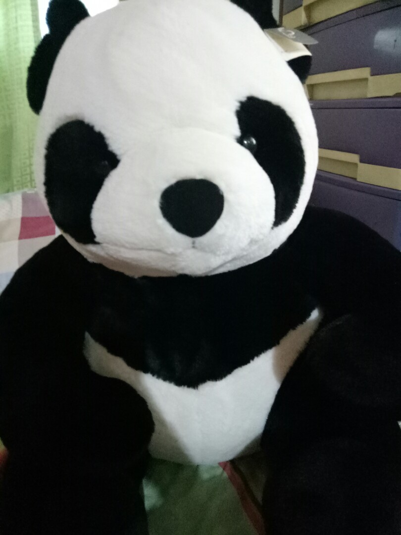 Lou Berry Panda, Hobbies & Toys, Toys & Games on Carousell