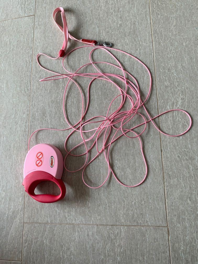 Retractable Leash, Pet Supplies, Homes & Other Pet Accessories on Carousell