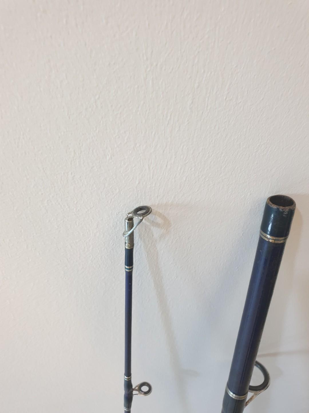 Pioneer Maxi Strike Surfcasting Fishing Rod, Sports Equipment, Fishing ...