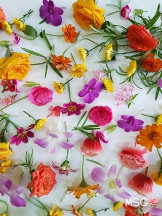 MIXED CONFETTI - EDIBLE GARNISHES / FLOWERS, Food & Drinks, Fresh ...
