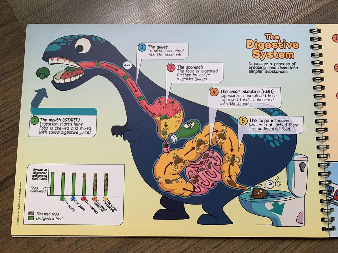 Science Made Easy with Doodles, Hobbies & Toys, Books & Magazines ...