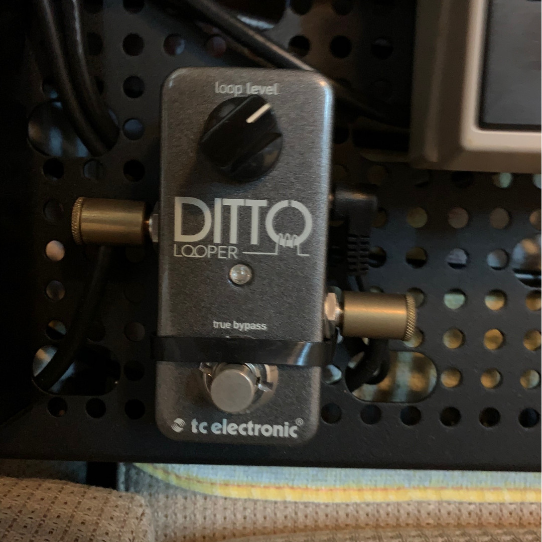 TC Electronics Ditto Looper, Hobbies & Toys, Music & Media, Music ...