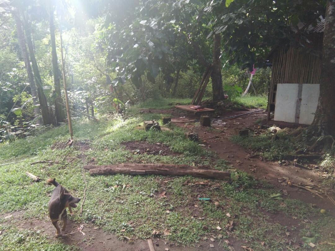 2339 sqm kayquit indang, Property, For Sale, Lot on Carousell