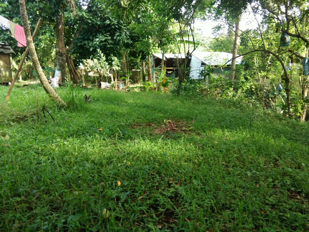 2339 sqm kayquit indang, Property, For Sale, Lot on Carousell