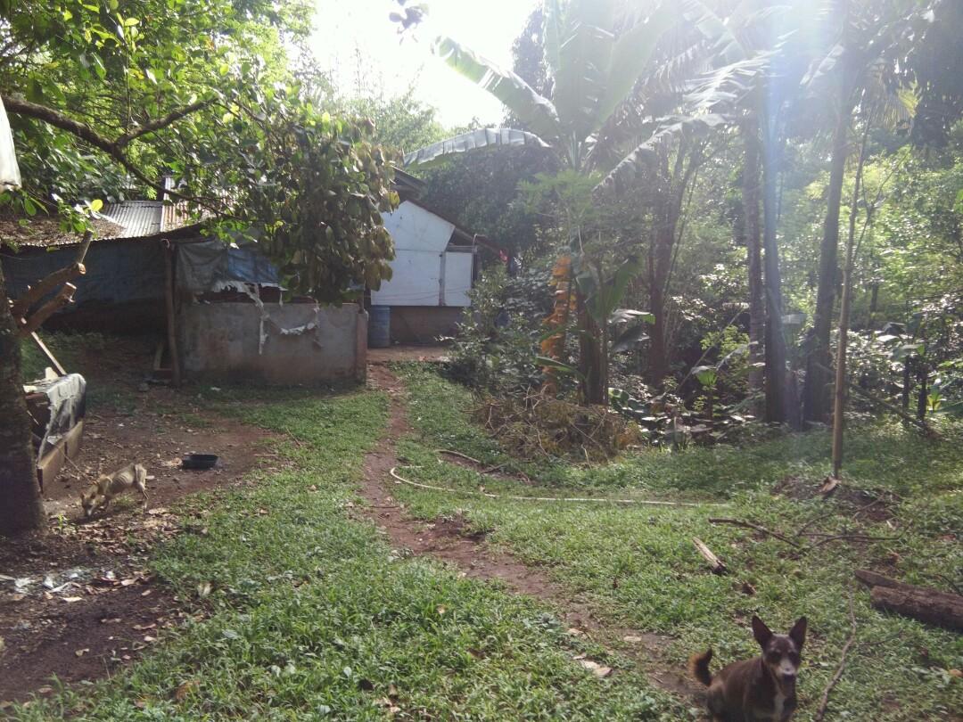 2339 sqm kayquit indang, Property, For Sale, Lot on Carousell