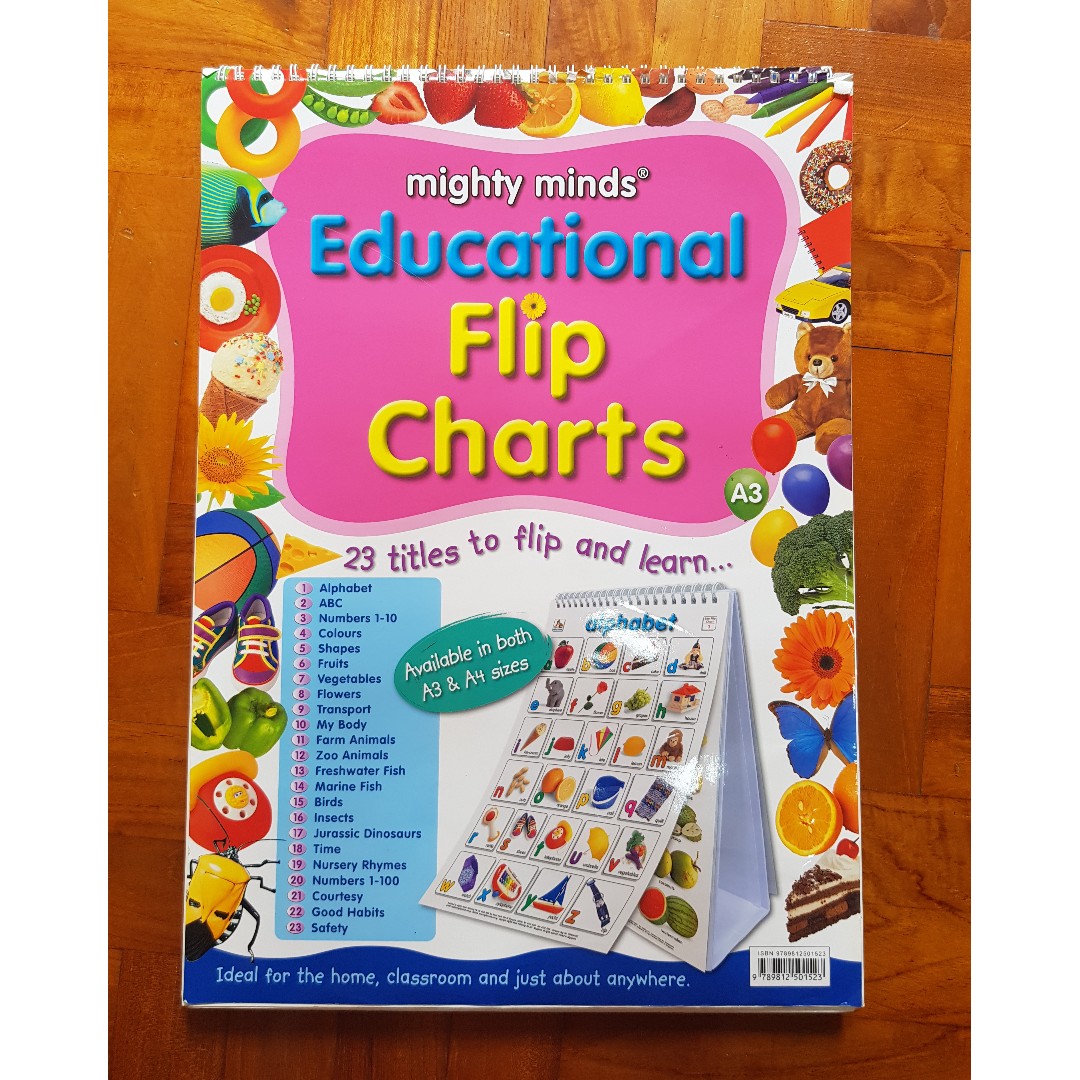 A3 Size Educational Flip Charts - 23 Charts in Total!, Hobbies & Toys ...
