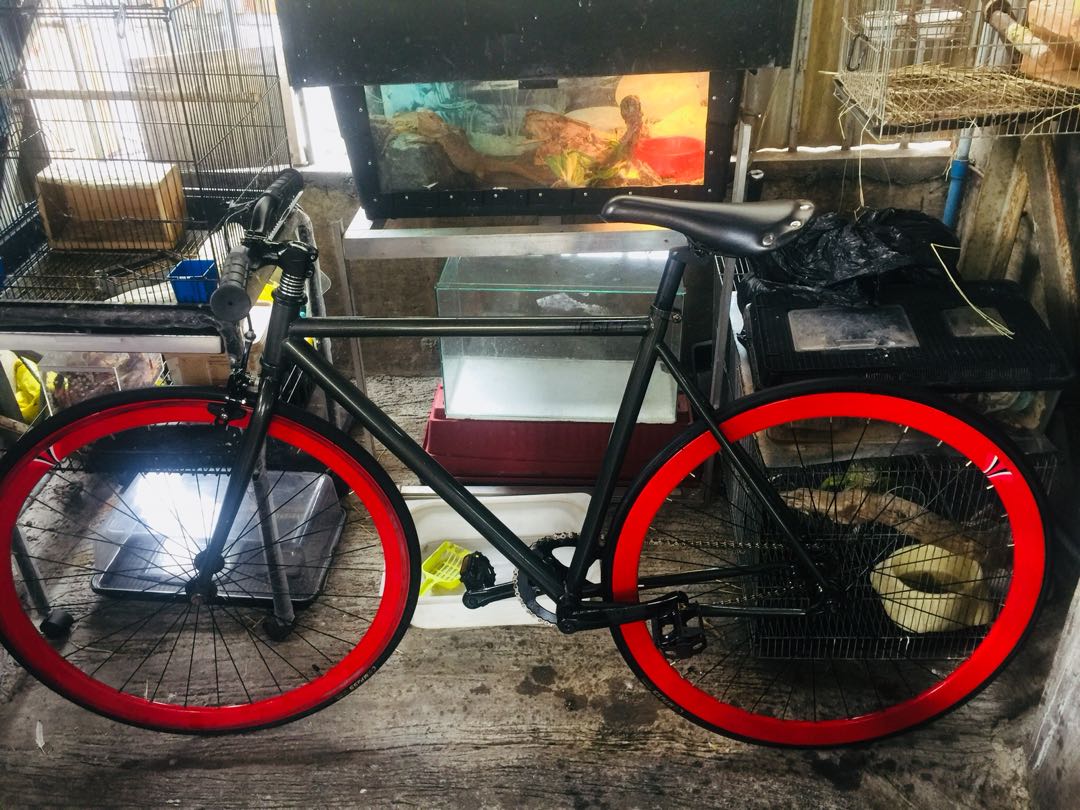 Pixie Bike, Sports Equipment, Bicycles & Parts, Bicycles on Carousell
