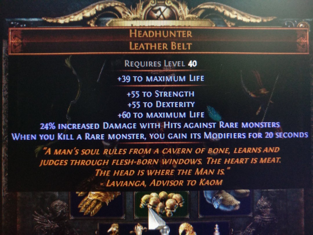 Path of Exile Standard Headhunter Belt, Video Gaming, Gaming ...