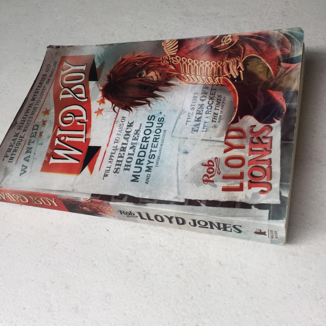 Wild Boy by Rob Lloyd Jones, Hobbies & Toys, Books & Magazines, Fiction ...